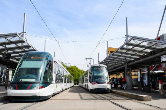 Tram & bus